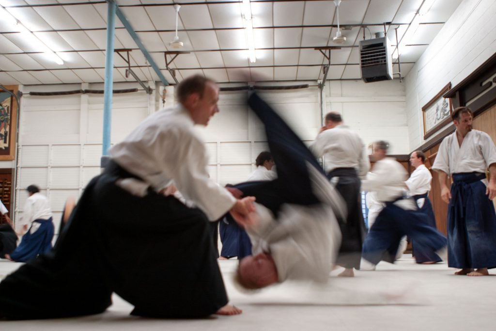 Adult Program - Aikido Shobukan Dojo